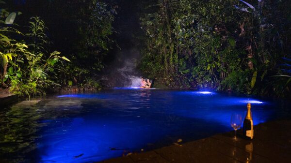 Jaguar VIP Night Lounge: Luxury Rainforest Experience in Costa Rica ...